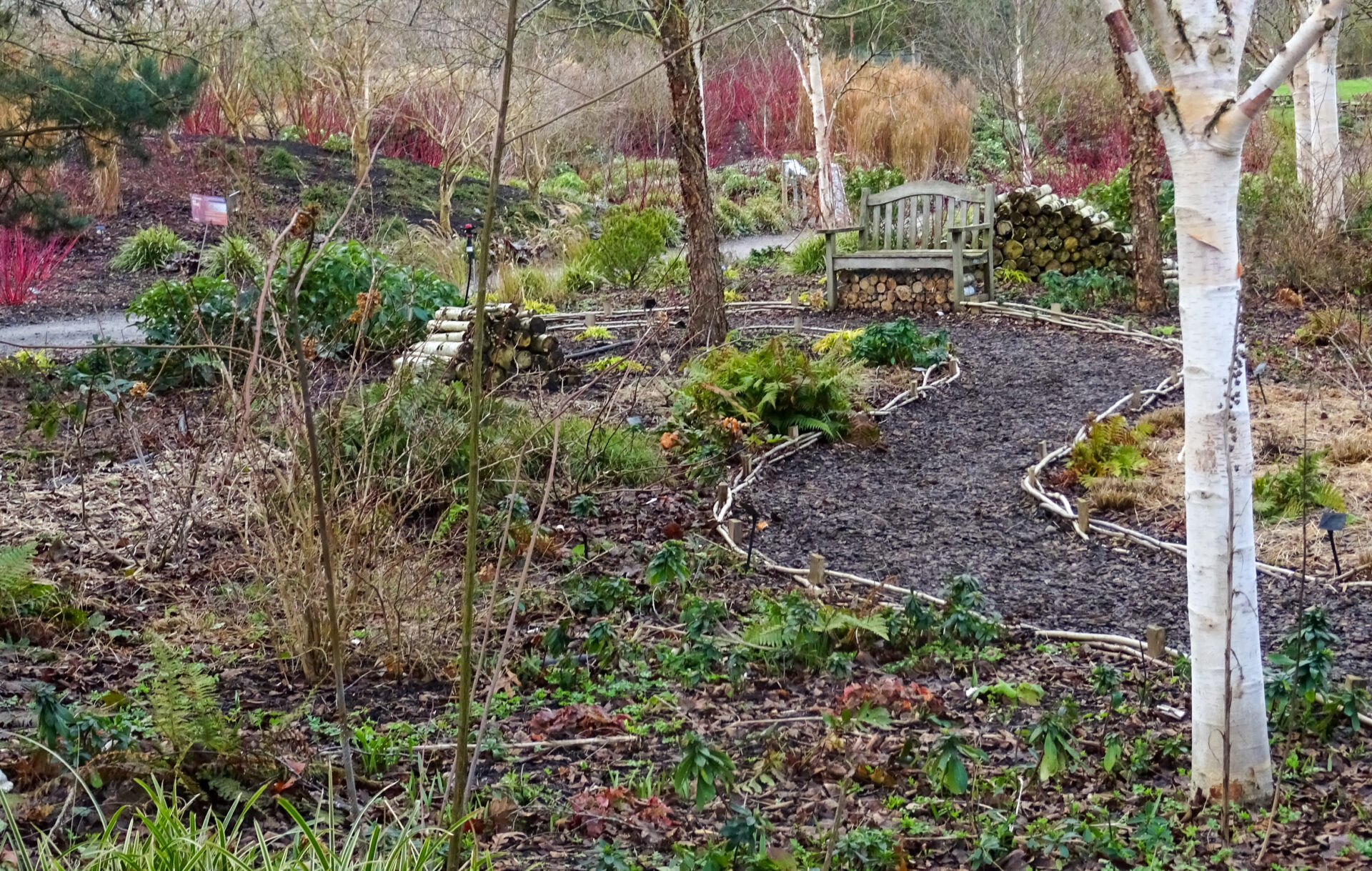 202501 Hyde Hall - Benfleet