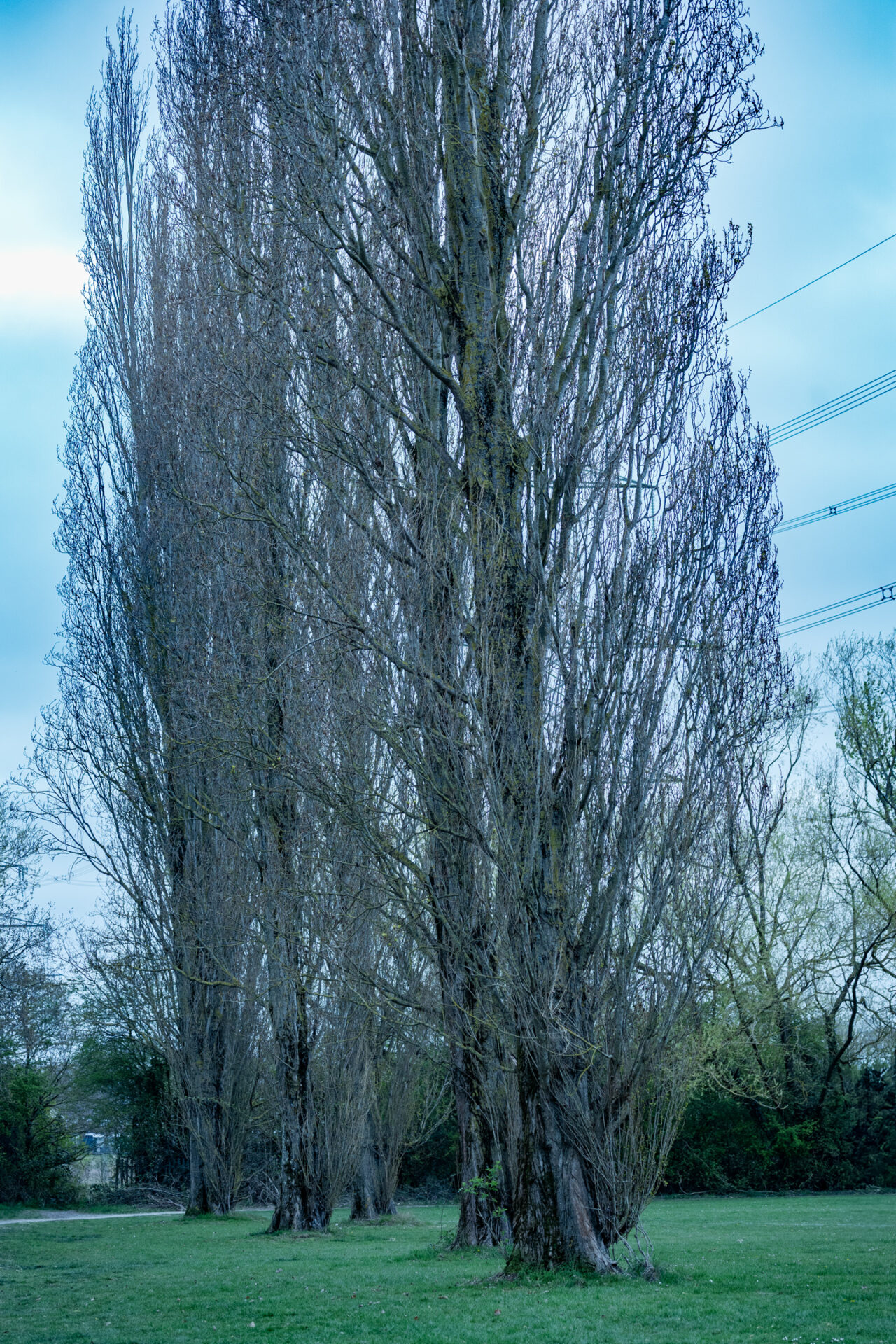 202504 Wickford Memorial Park - Benfleet